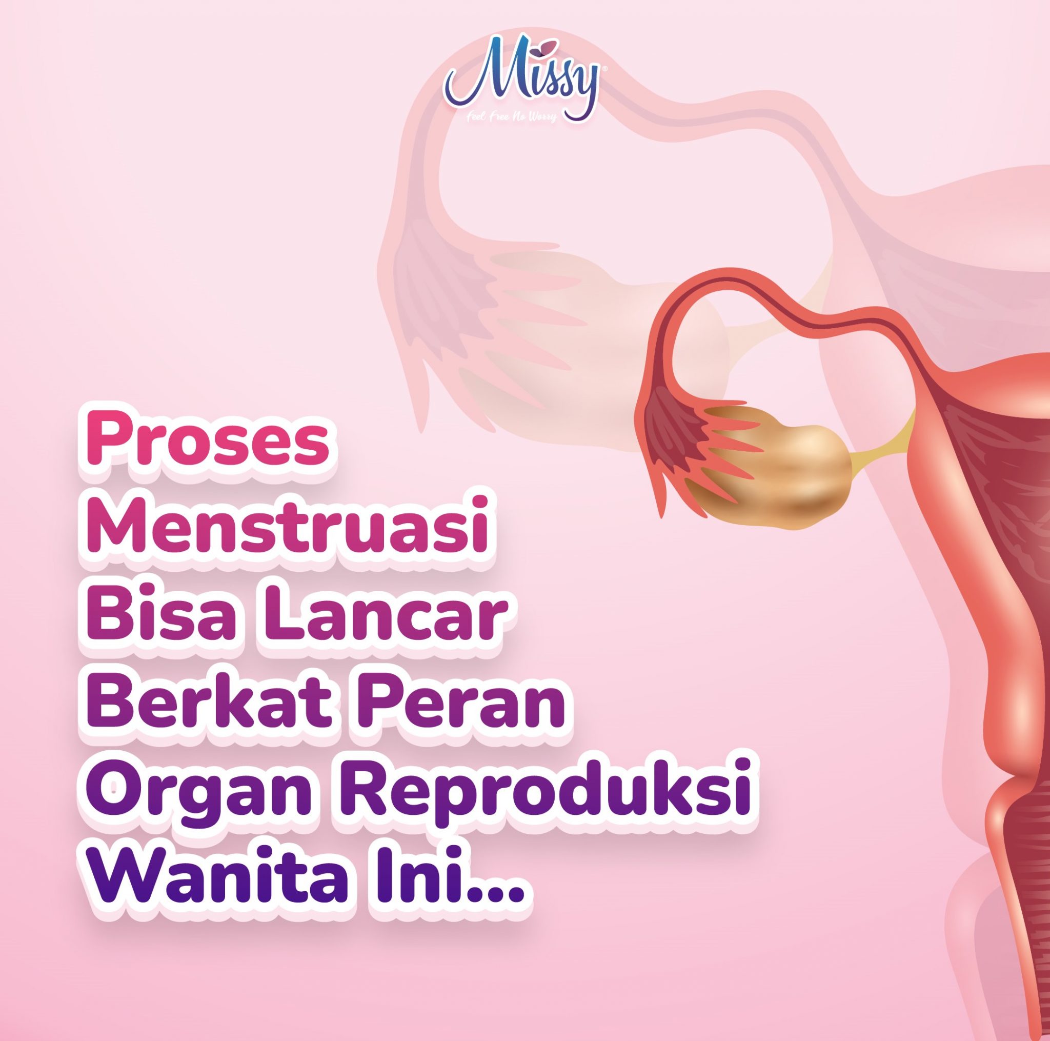Mengenal Organ Reproduksi Wanita yang Berperan Dalam Siklus Menstruasi